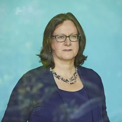 原来Elisabeth Bik是用了这个图片查重神器？|神器_新浪新闻