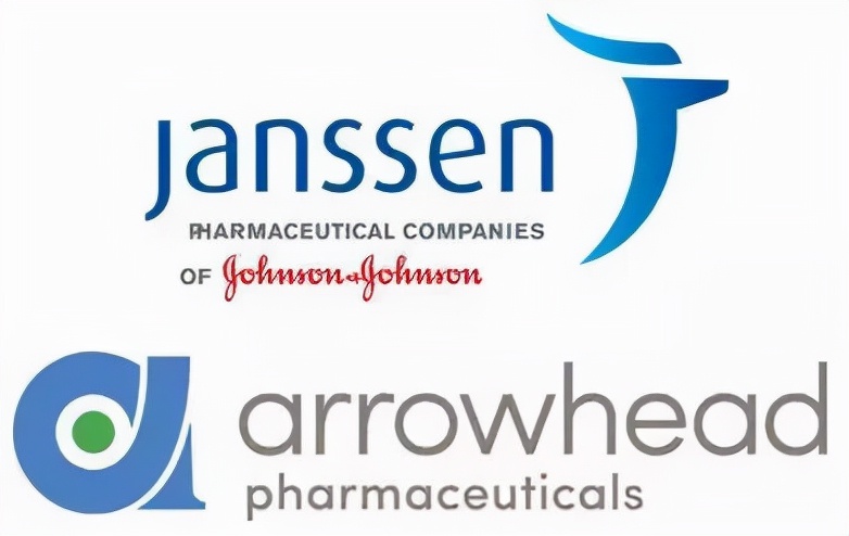 乙肝在研新药JNJ-3989，IIb期，第48周达到主要终点比例高达19.1%|乙肝|核苷类|终点_新浪新闻