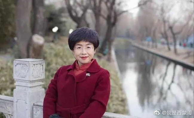 北大教授赵冬梅：王安石变法将皇权从无形的笼子里放出来了|政治|北京大学|王安石_新浪新闻