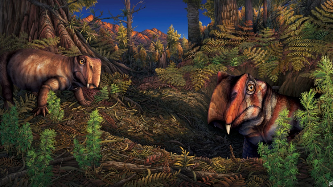 二叠纪——古生代最后的时光，地球变成炼狱|生物|地球_新浪新闻