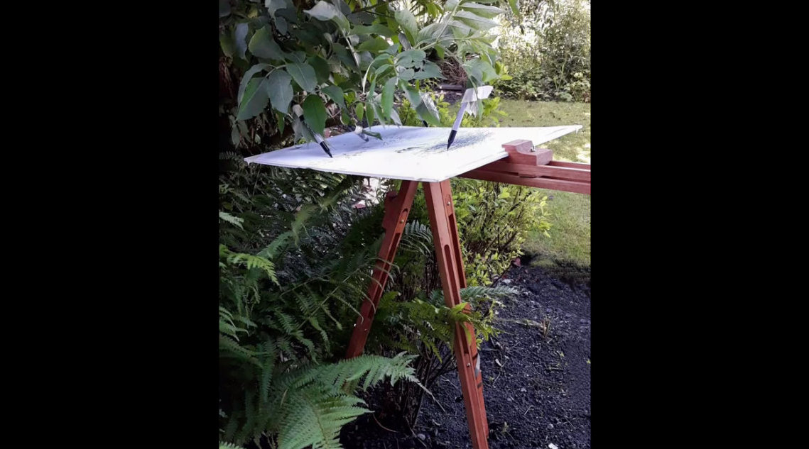 艺术家Tim Knowles将画笔绑在树枝上，随着风的舞动……_新浪新闻