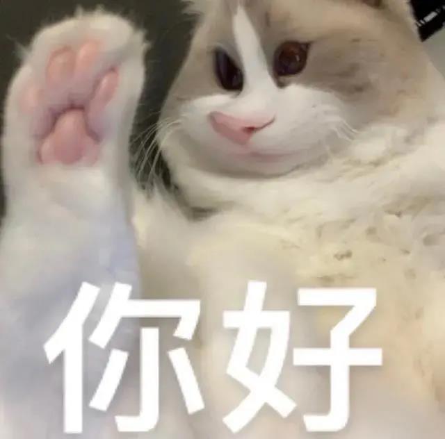 分享表情包 emo了 没眼看，没眼看 被指到的人，放下二郎腿……|二郎腿|表情包|美眉_新浪新闻