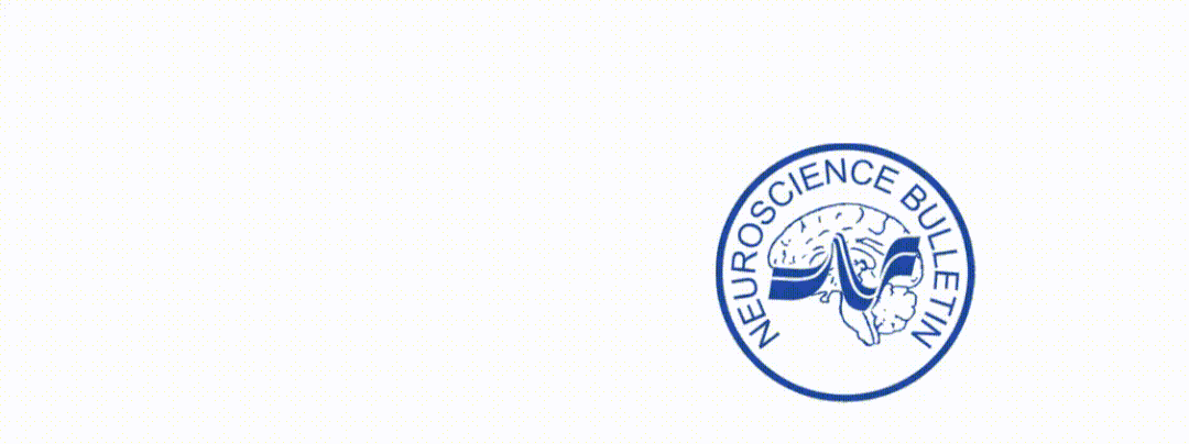 Neurosci Bull封面：蒋田仔团队综述经颅磁刺激精准调控的研究进展__财经头条