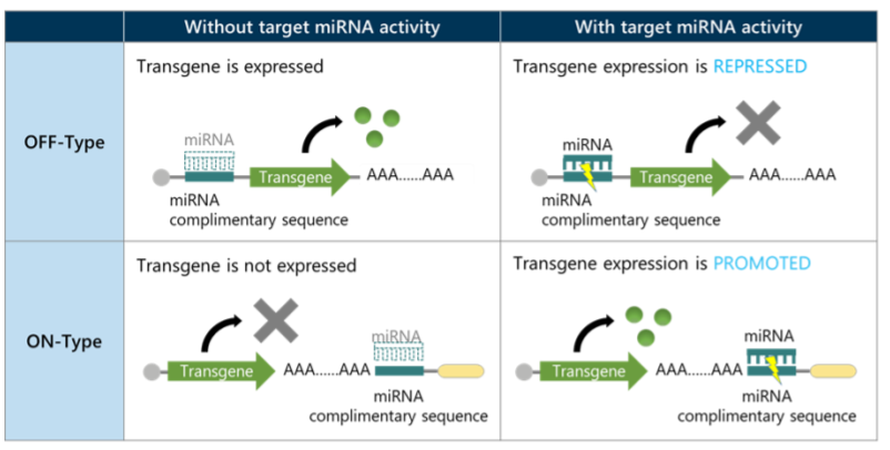 高性能材料巨头与基因初创跨界合作，利用RNA Switch开发mRNA疗法__财经头条