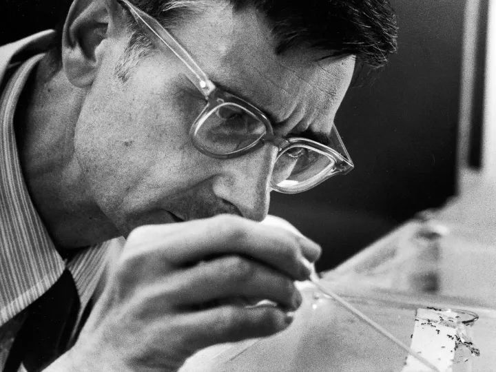 威尔逊去世，享年92岁 | 被誉为“当代达尔文”，科学巨人，更是知识巨人__财经头条