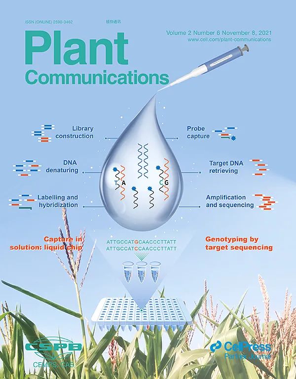 2021年SCI新收录15种中国大陆期刊__财经头条