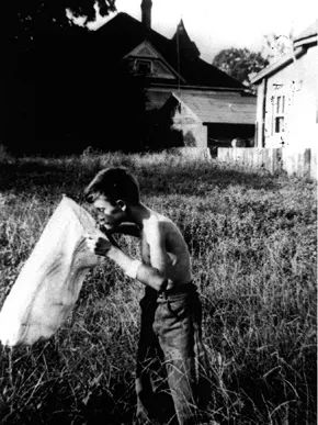 威尔逊去世，享年92岁 | 被誉为“当代达尔文”，科学巨人，更是知识巨人__财经头条