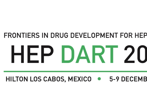 乙肝在研新药REP 2139，抑制HBsAg分泌，作用机理继续得到证明|相互作用|乙肝|机理_新浪新闻