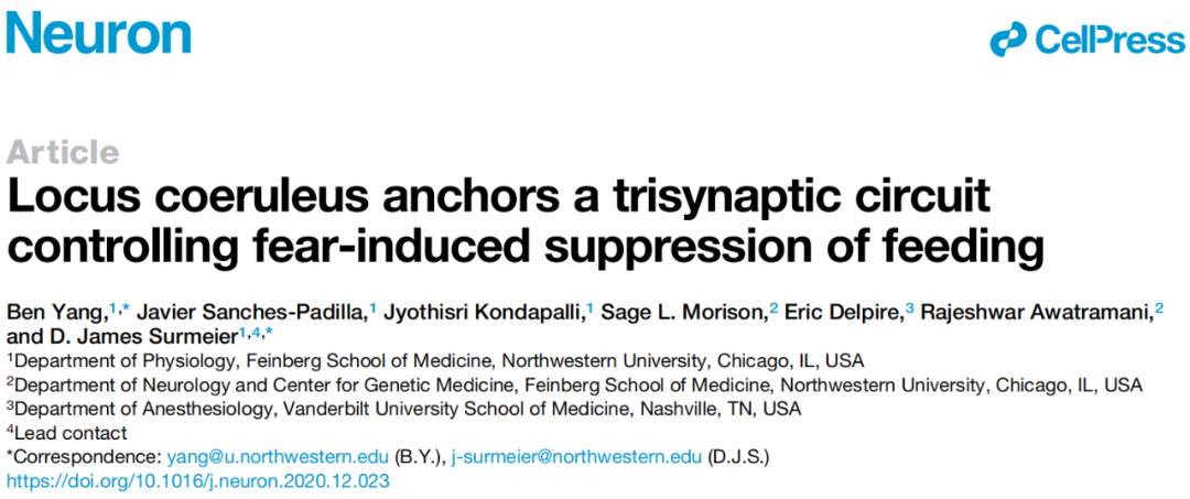 Neuron论文挑战神科领域戴尔法则：一种神经元释放一种递质？|遗传学|论文_新浪新闻