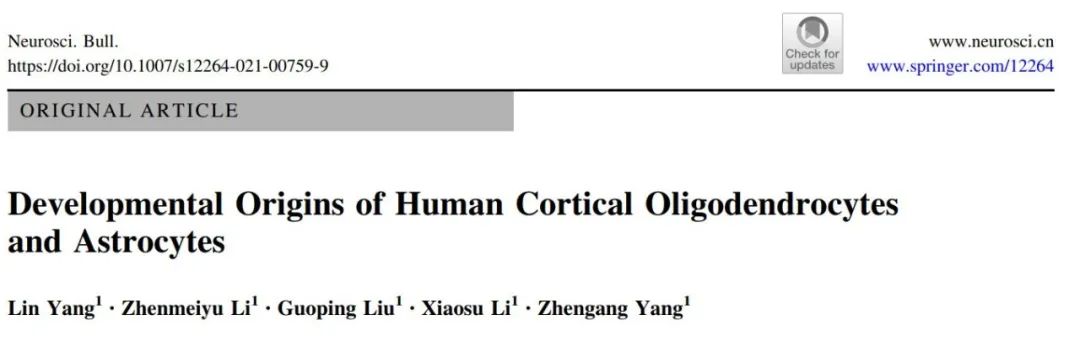 Neurosci Bull：人类大脑皮质神经胶质细胞的发育起源机制__财经头条