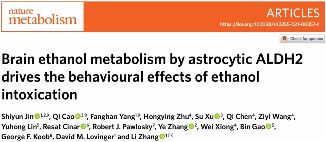 Nat Metabolism封面：星形胶质细胞在酒精代谢中的重要调控机制|酒精|胶质|代谢_新浪新闻