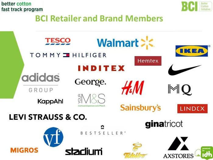 谁是BCI? | 施展札记34__财经头条