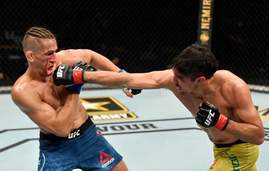 伟大的重逢 | UFC260前瞻|阿尔梅达_新浪新闻