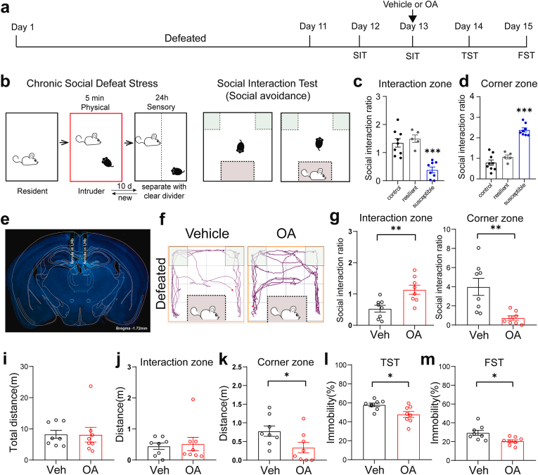 Neurobiol Stress：西京医院团队发现应对慢性社交应激诱发焦虑抑郁行为的神经机制|应激|神经元|社交_新浪新闻
