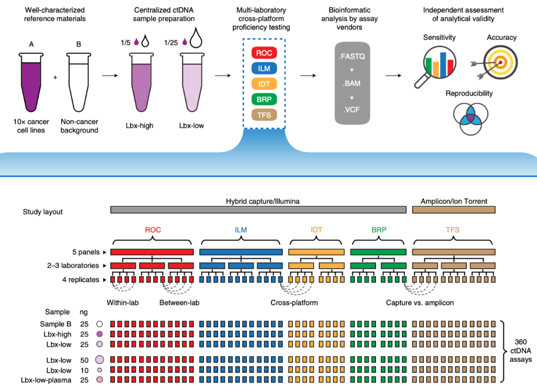 《自然》子刊：全球首个ctDNA检测方案大规模评估数据出炉，中国液体活检公司数据亮眼丨奇点猛科技|中国_新浪新闻