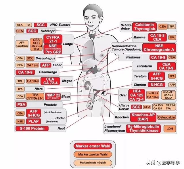 什么是细胞角蛋白19片段(CYFRA21-1)？|鼻咽癌|肺癌_新浪新闻