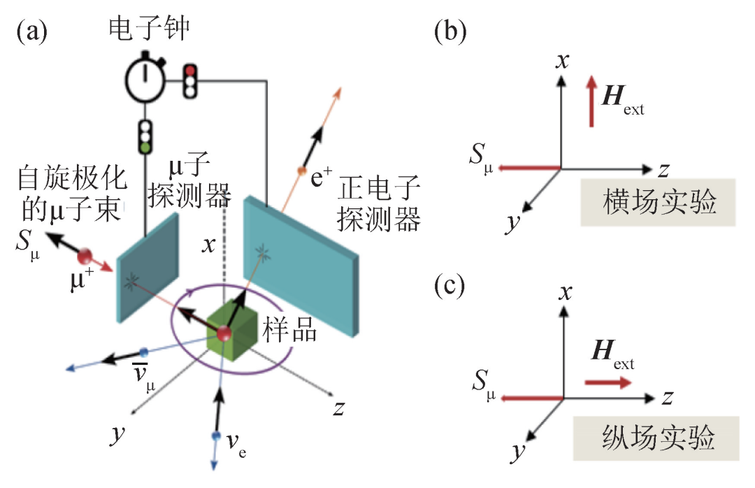 MuSR技术在凝聚态物理中的应用|物理_新浪新闻