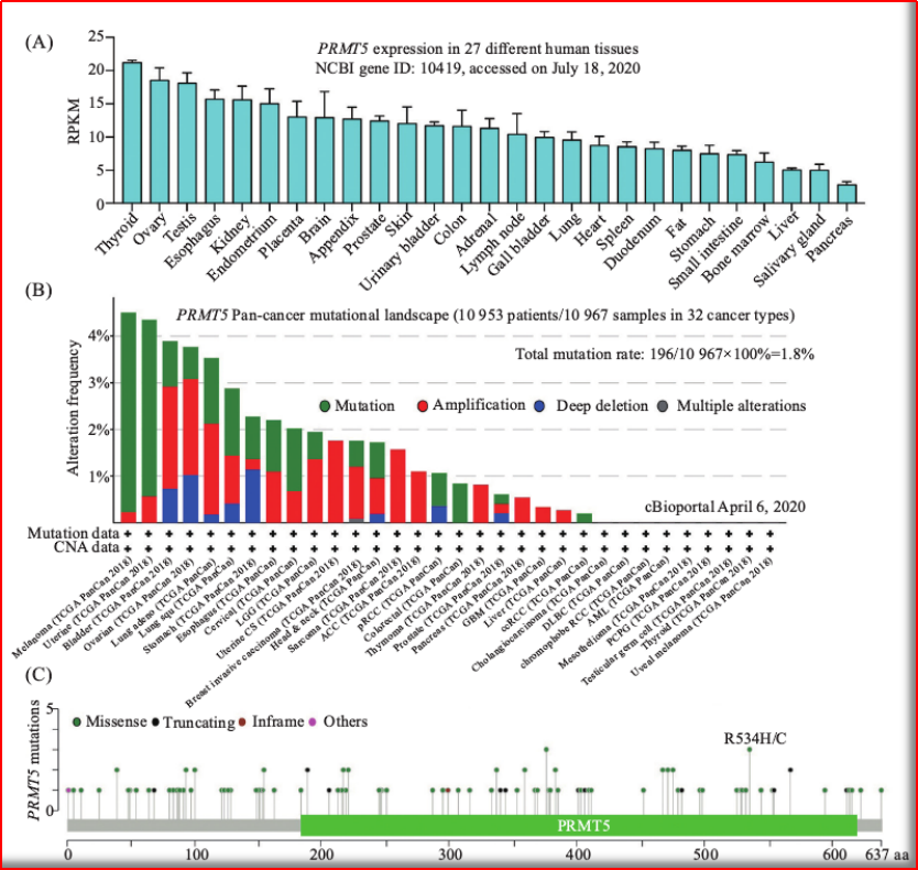 AACR年会报道的PRMT5，究竟有多大潜力？|基因_新浪新闻