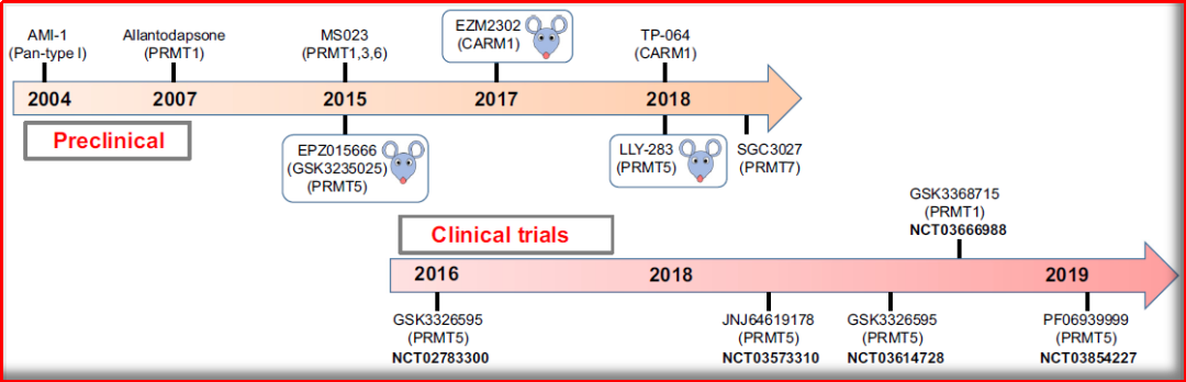 AACR年会报道的PRMT5，究竟有多大潜力？|基因_新浪新闻
