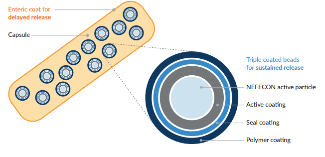 改良新药「布地奈德缓释胶囊」获FDA优先审评，治疗IgA肾病！中国已纳入突破性疗法|中国_新浪新闻