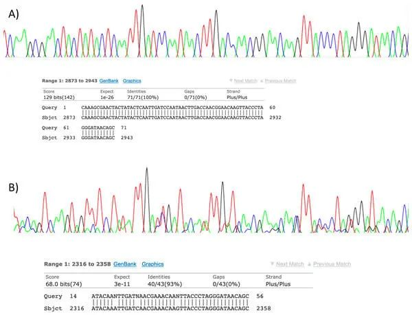 从空气中直接采集DNA！eDNA技术有了新突破|DNA|生物_新浪新闻