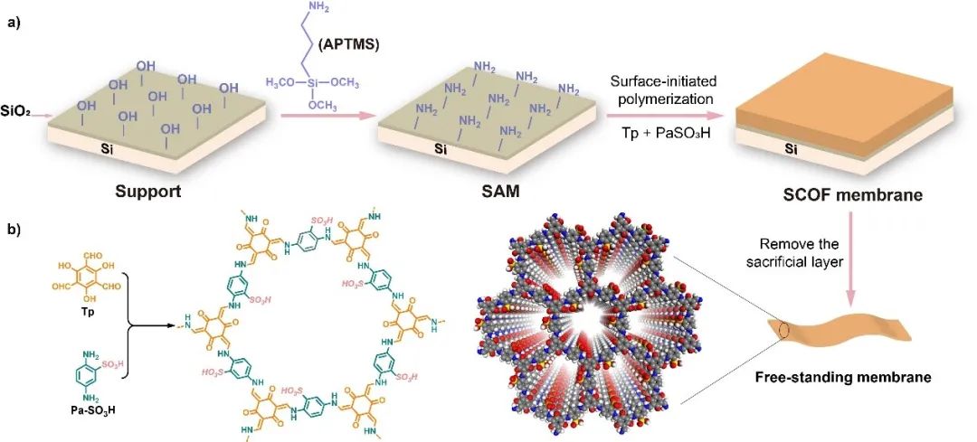 科苑探骊 | 东北师范大学教师在共价有机骨架薄膜材料领域取得重要进展|东北师范大学|张宁|科研_新浪新闻