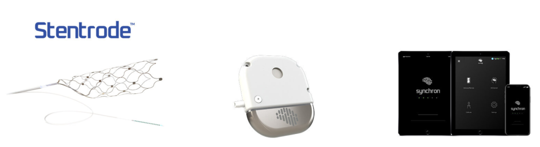 经血管递送脑机接口设备，这家初创获4000万美元B轮融资