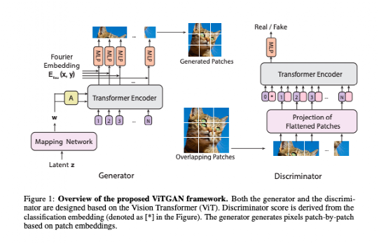 CV圈对决：谷歌提出ViTGAN，用视觉Transformer训练GAN_创事记_新浪科技_新浪网