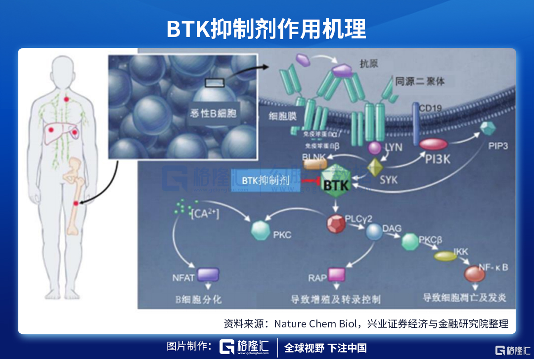 超60亿大单！诺诚健华两度被巨头选中，是幸运还是实力？__财经头条
