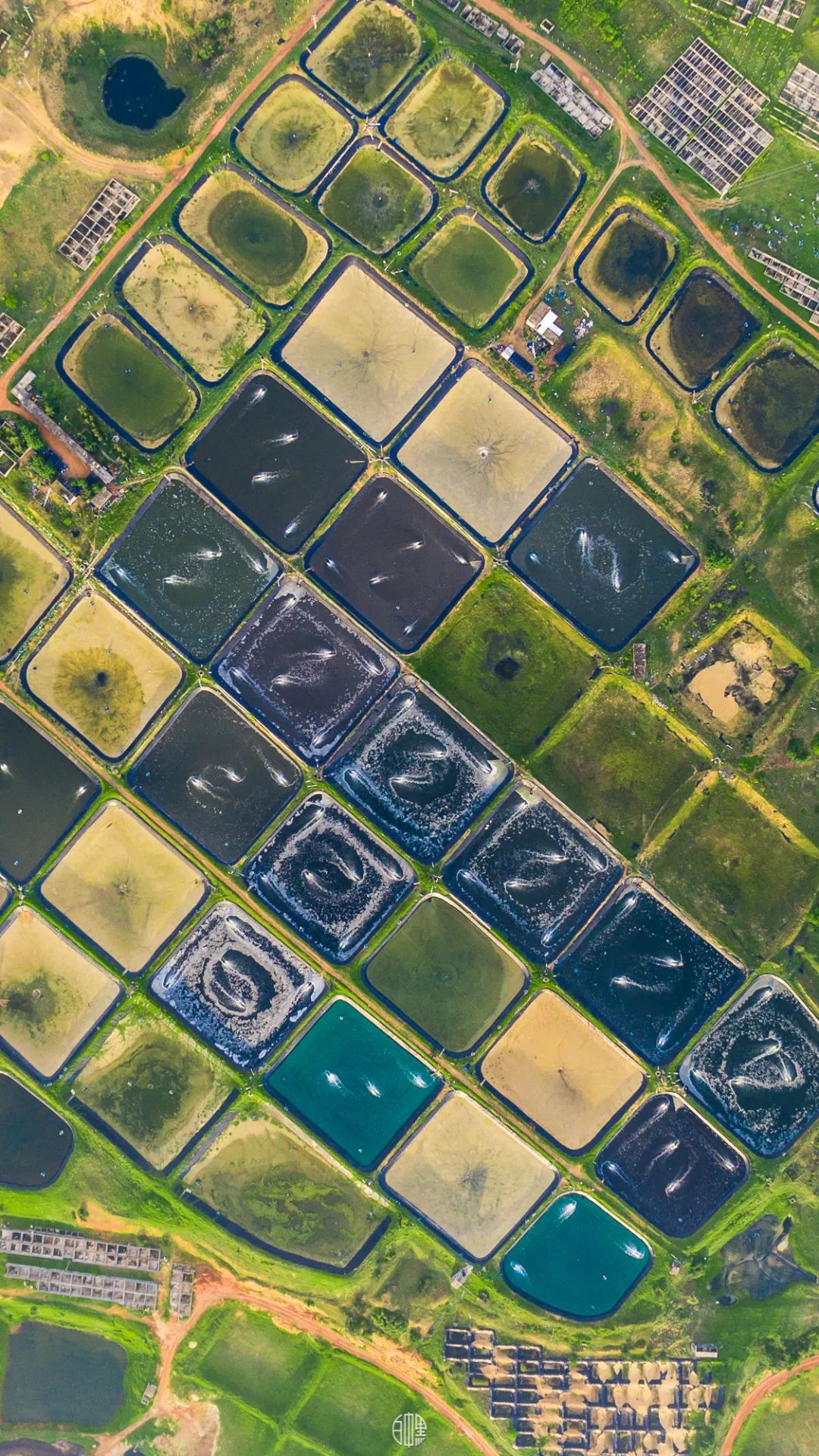 这个角度的中国，你见过吗？|梯田_新浪财经_新浪网