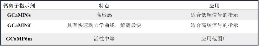 【新品发布】新一代jGCaMP8已至|和元生物|钙离子|蛋白_新浪新闻