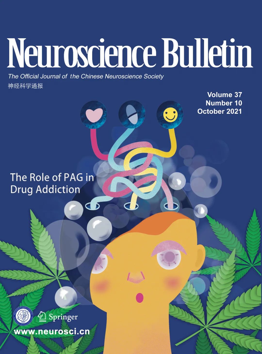 收藏| Neuroscience Bulletin 2021年12篇精彩封面文章汇集__财经头条