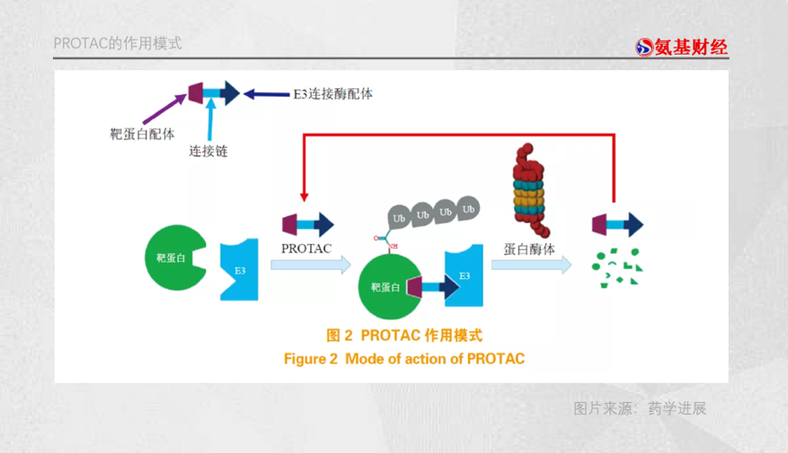 PROTAC，小分子药物的“百忧解”？__财经头条