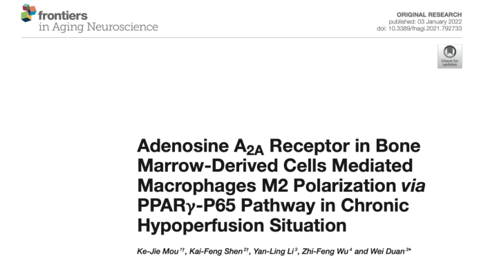 Front.aging-neurosci-骨髓来源细胞中的腺A2A受体的神经保护作用__财经头条