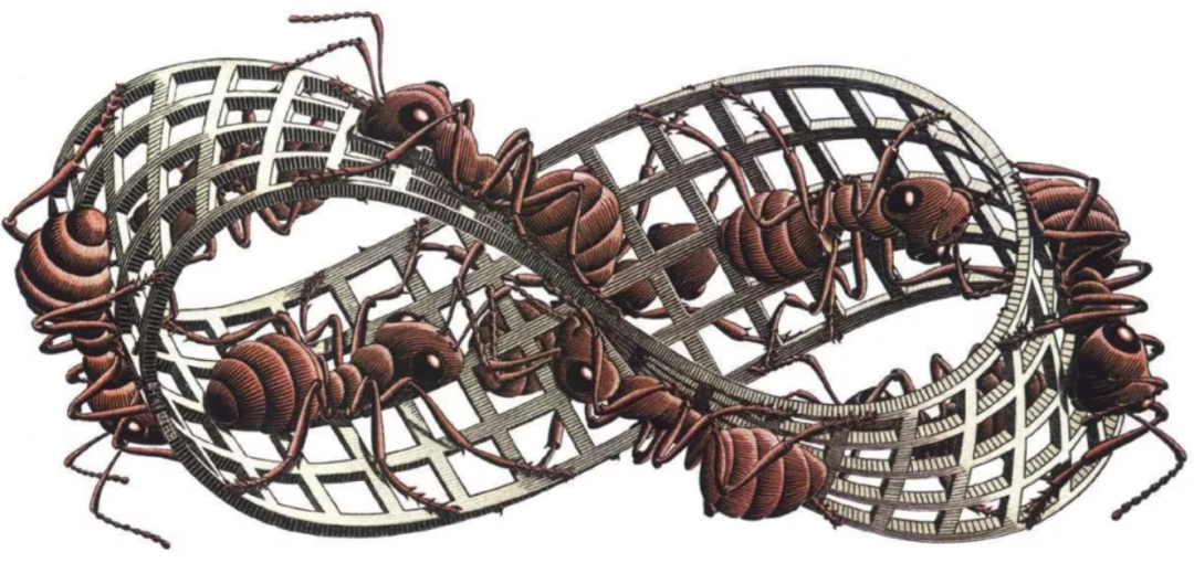 地球所有的水倒入，都无法装满的瓶子，“克莱因瓶”到底是什么？|克莱因|莫比乌斯|平面_新浪新闻