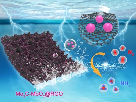 Mo2C-MoO2异质结构提高产氨速率|催化剂|异质|量子点_新浪新闻