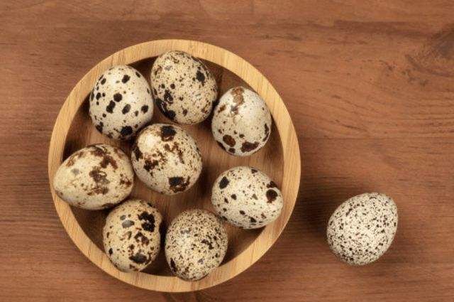 目前鹌鹑蛋多少钱一斤？食用鹌鹑蛋有什么功效与禁忌？|鹌鹑蛋|禁忌|功效_新浪新闻