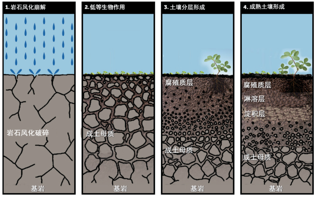 【地理拓展】农业土壤与农业地理 中国 新浪新闻