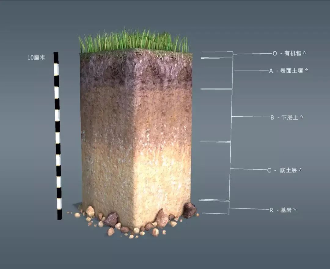 【地理拓展】农业土壤与农业地理 财经头条