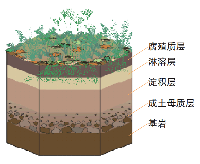 【地理拓展】农业土壤与农业地理 财经头条