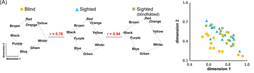 Trends Cogn Sci 封面综述回顾：北师大毕彦超教授：人脑知识的双重编码理论|北师大_新浪新闻