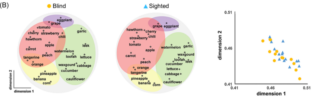 Trends Cogn Sci 封面综述回顾：北师大毕彦超教授：人脑知识的双重编码理论__财经头条