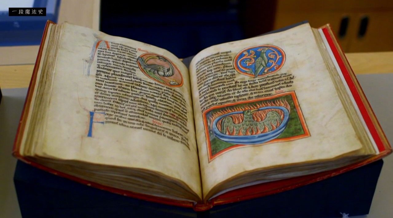 神奇的魔法生物 Amazing Magical Creatures|哈利波特|纪录片_新浪新闻