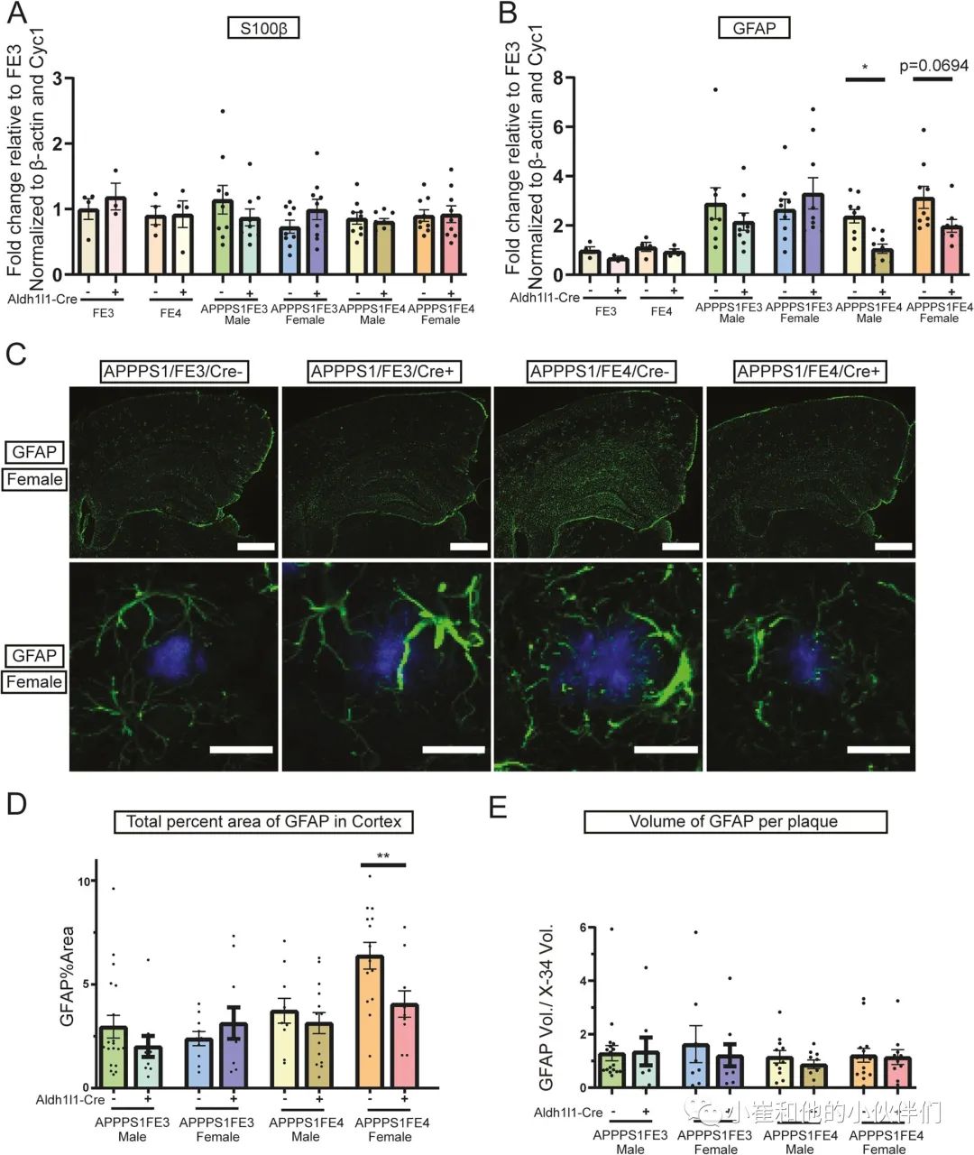 Mol Neurodegener：减少星形胶质细胞ApoE降低Aβ沉积和病理__财经头条