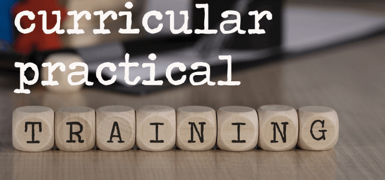 一文让你读懂美国OPT|美国|留学生_新浪新闻