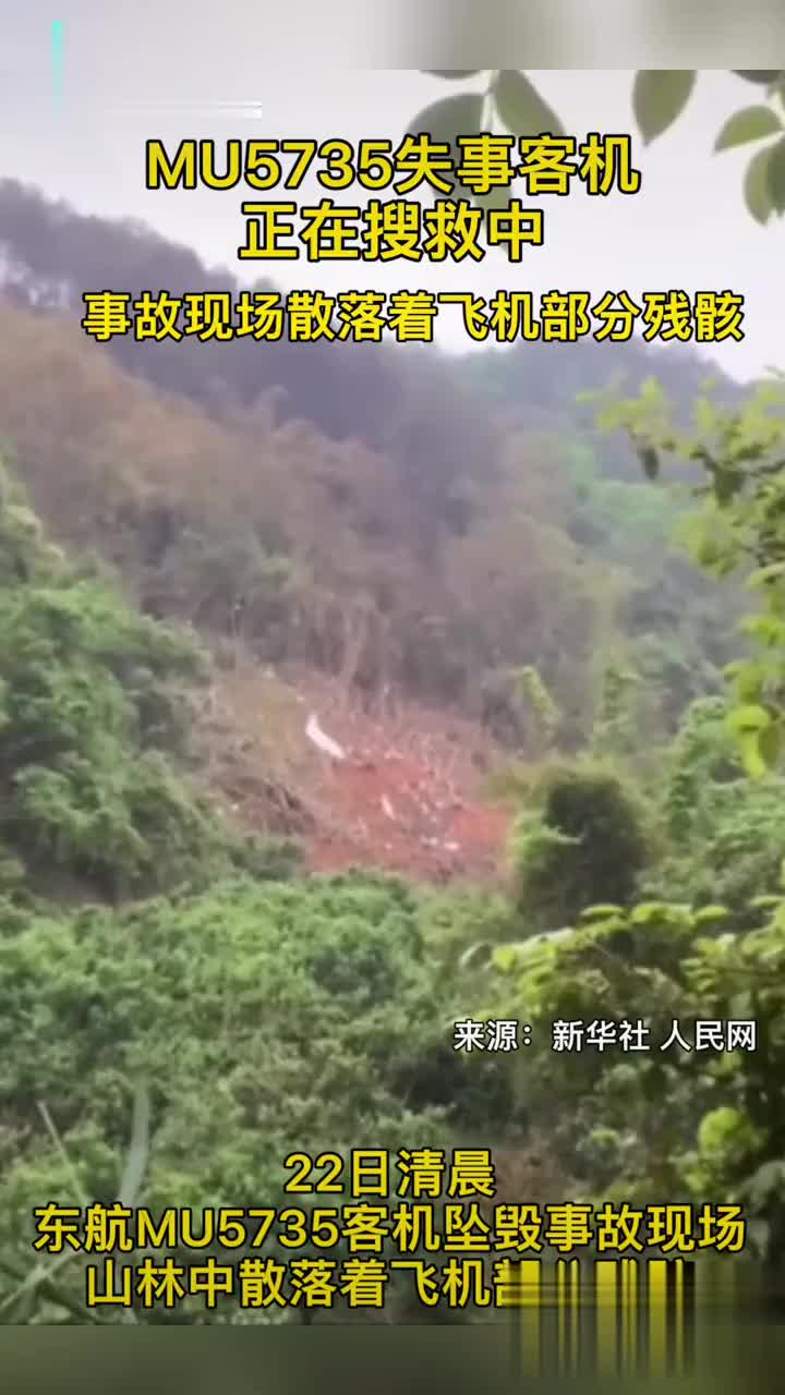 MU5735失事客机正在搜救中事故现场散落着飞机部分残骸_新浪新闻