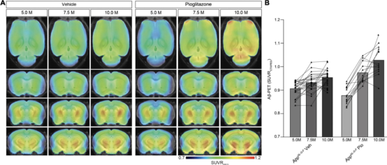 Front.aging neurosci- PPARγ 促进淀粉样变性的纤维化、改善认知__财经头条