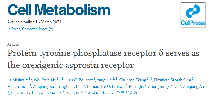 Cell Metabolism：白脂素受体被发现，为肥胖治疗带来希望！