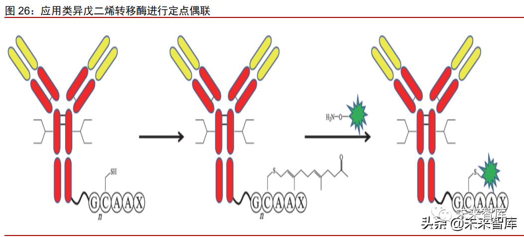 2022年抗体偶联药物行业研究报告（附下载）__财经头条
