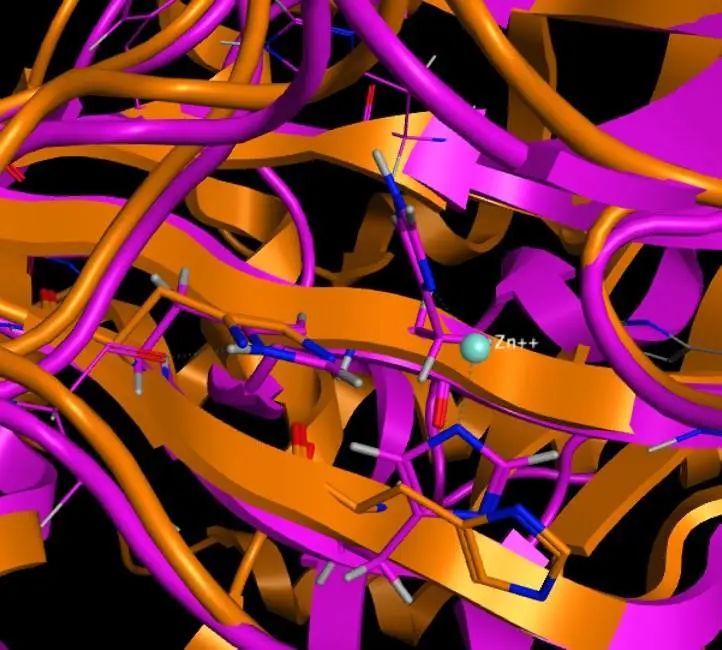 AlphaFold开源一年：探索新冠祖源，彻底改写生物学__财经头条